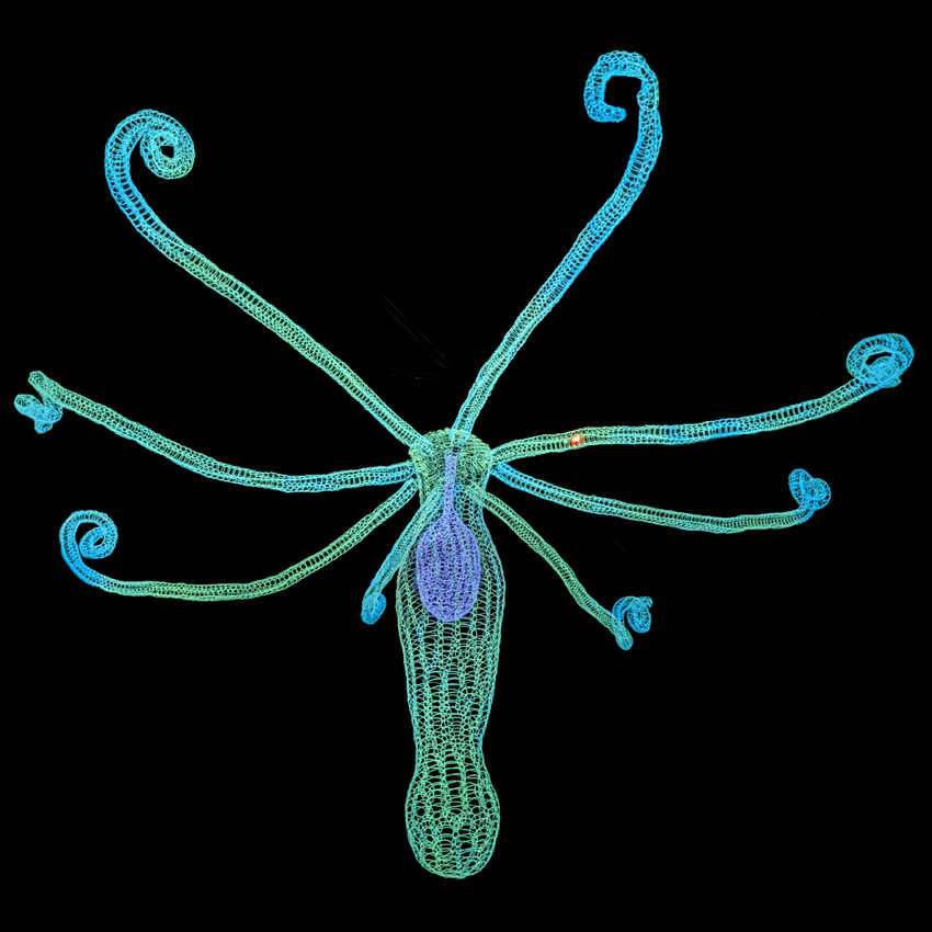 Annie Hsiao-Wen Wang 王筱雯